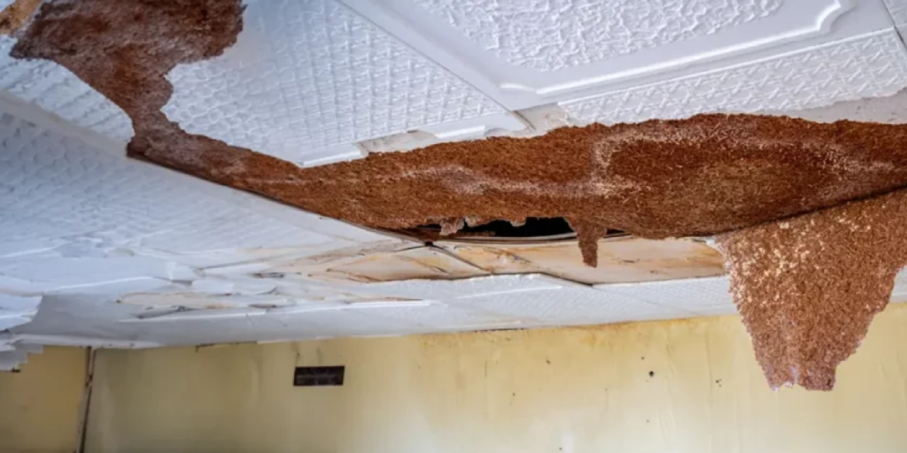 How to Fix a Water-Damaged Ceiling Like a Pro – Step-by-Step Repair Guide